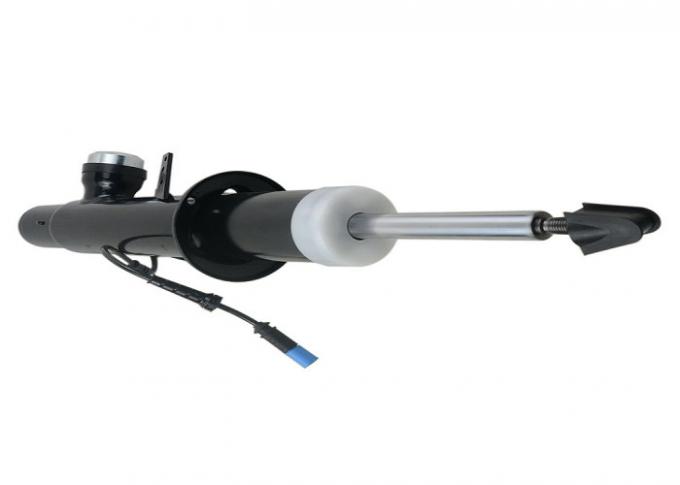 31317856489 31317850211 BMW Air Suspension Strut Assembly X5 F15 Front ...